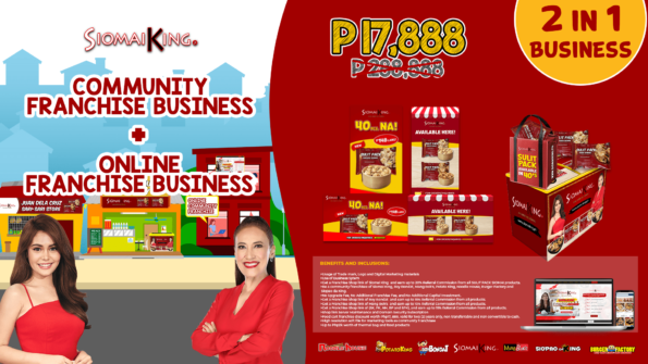 Wholesaler Dropshipping Franchise Package